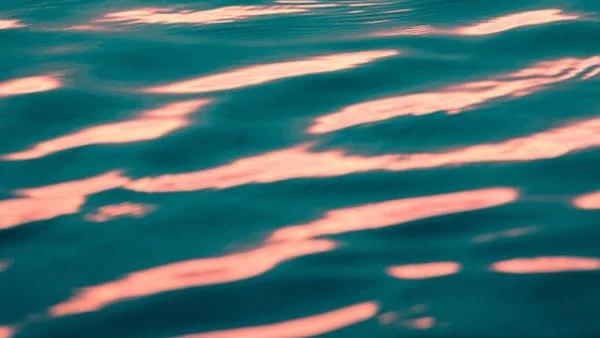 Tips for disclosing - Employment Autism